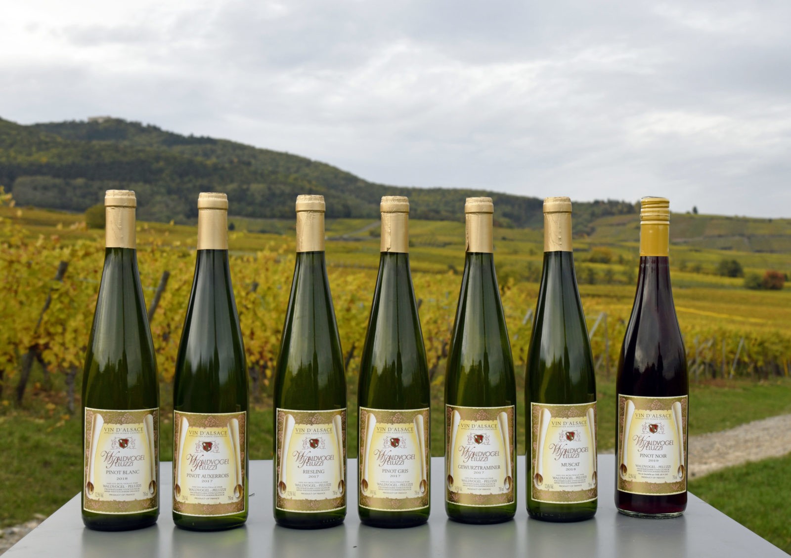 Vins Alsace - Cave Waldvogel-Peluzzi Wettolsheim